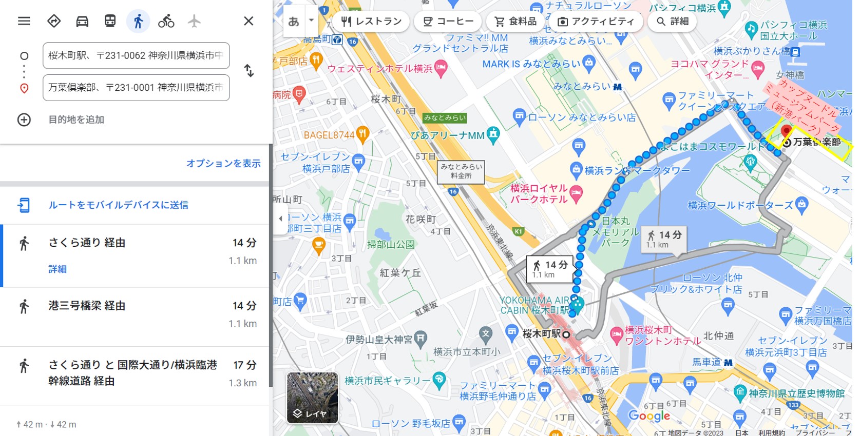 2023年3月1日に関東で春一番！春本番に！桜の開花予想は？横浜・みなとみらいの桜のおすすめスポットは？